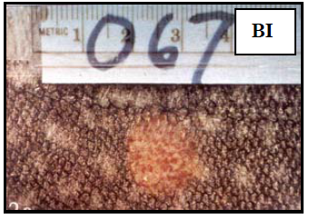 Great Lakes Fishery Commission - Lamprey Mark Classification Quiz