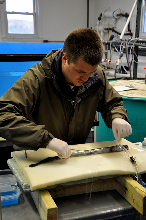 Great Lakes Fishery Commission - Sea Lamprey Research Board