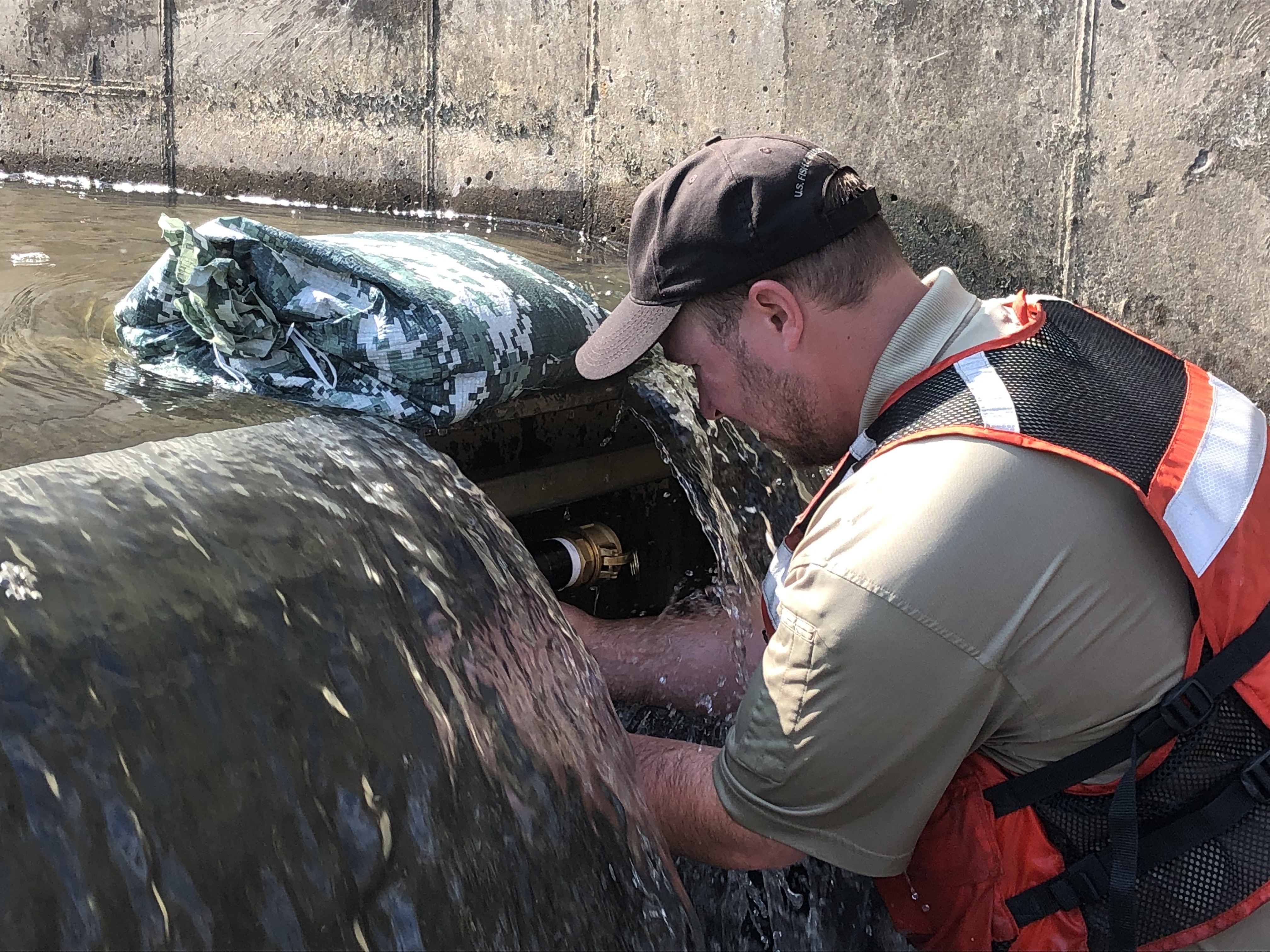 Great Lakes Fishery Commission - Pulse on Science: Project Spotlight